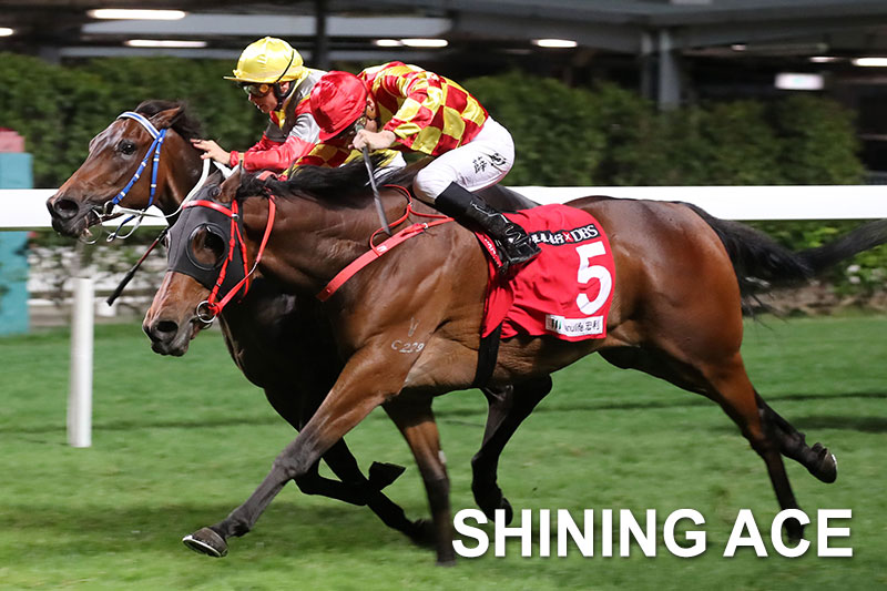 Top 10 Contenders - DBS & Manulife Million Challenge - The Hong Kong ...