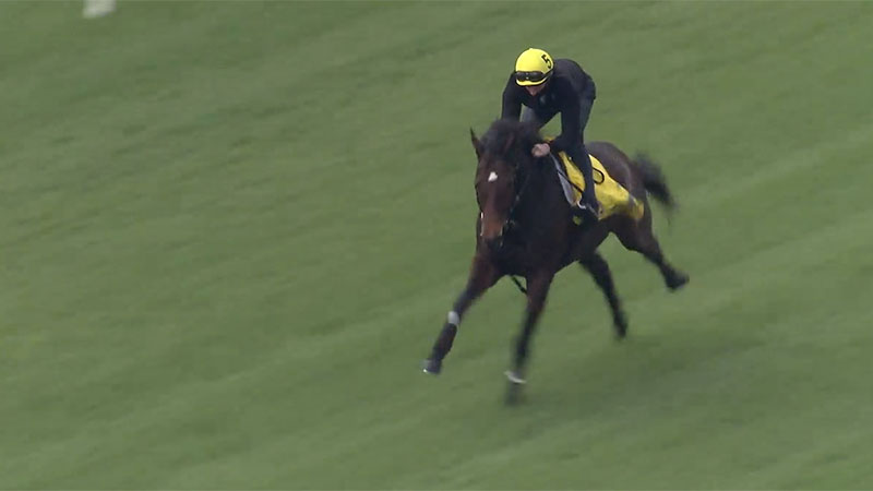 HKIR Express - LONGINES Hong Kong International Races 2020 - The Hong ...