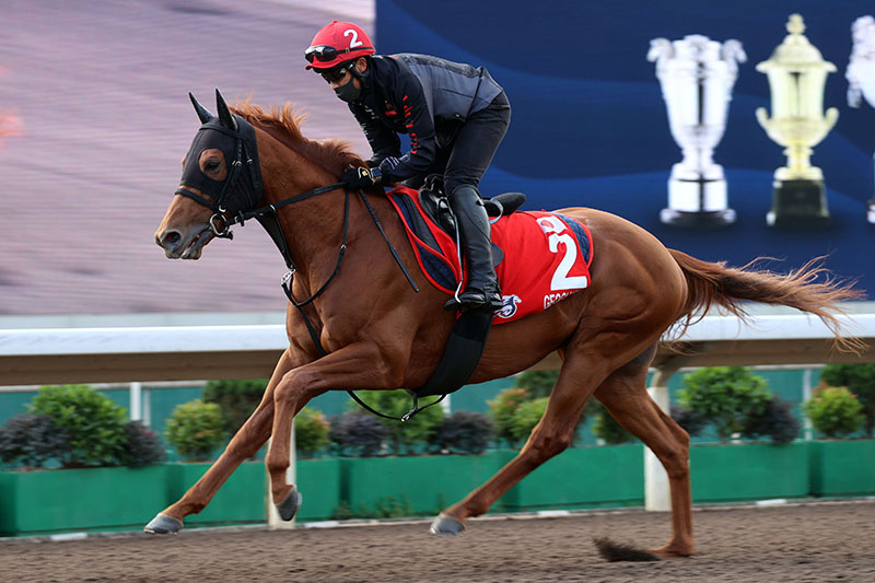 20221207 – Trackwork – LONGINES Hong Kong Cup - LONGINES Hong Kong ...
