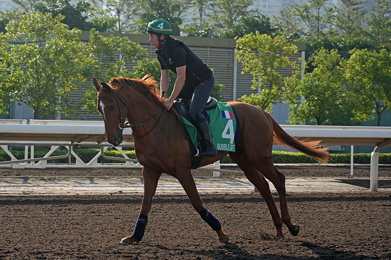 20221208 – Trackwork – LONGINES Hong Kong Vase - LONGINES Hong Kong ...