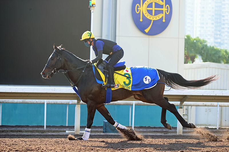 20221210 – Trackwork – LONGINES Hong Kong Sprint - LONGINES Hong Kong ...