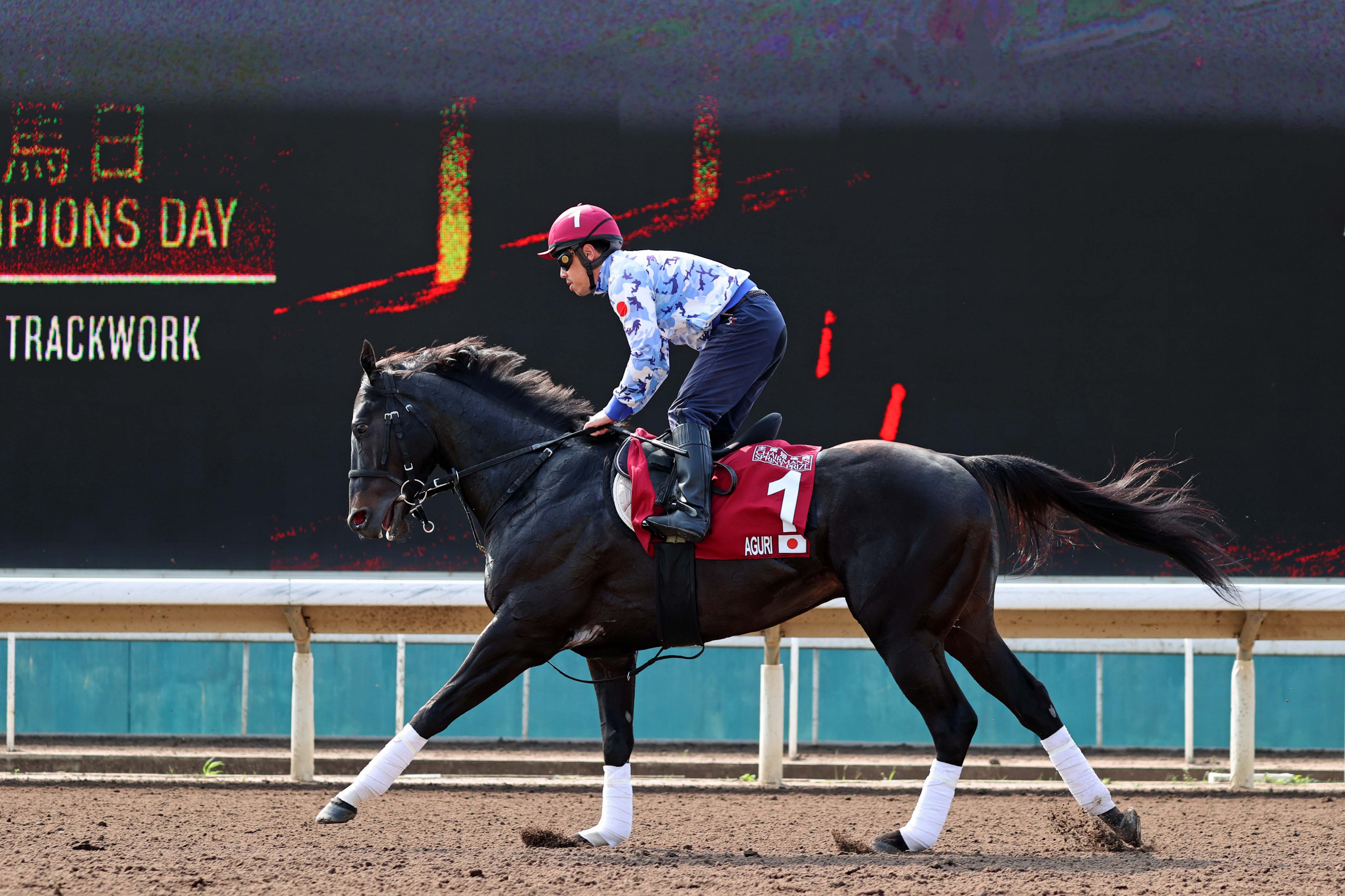 20230426 – Trackwork – Chairman’s Sprint Prize - FWD Champions Day 2023 ...