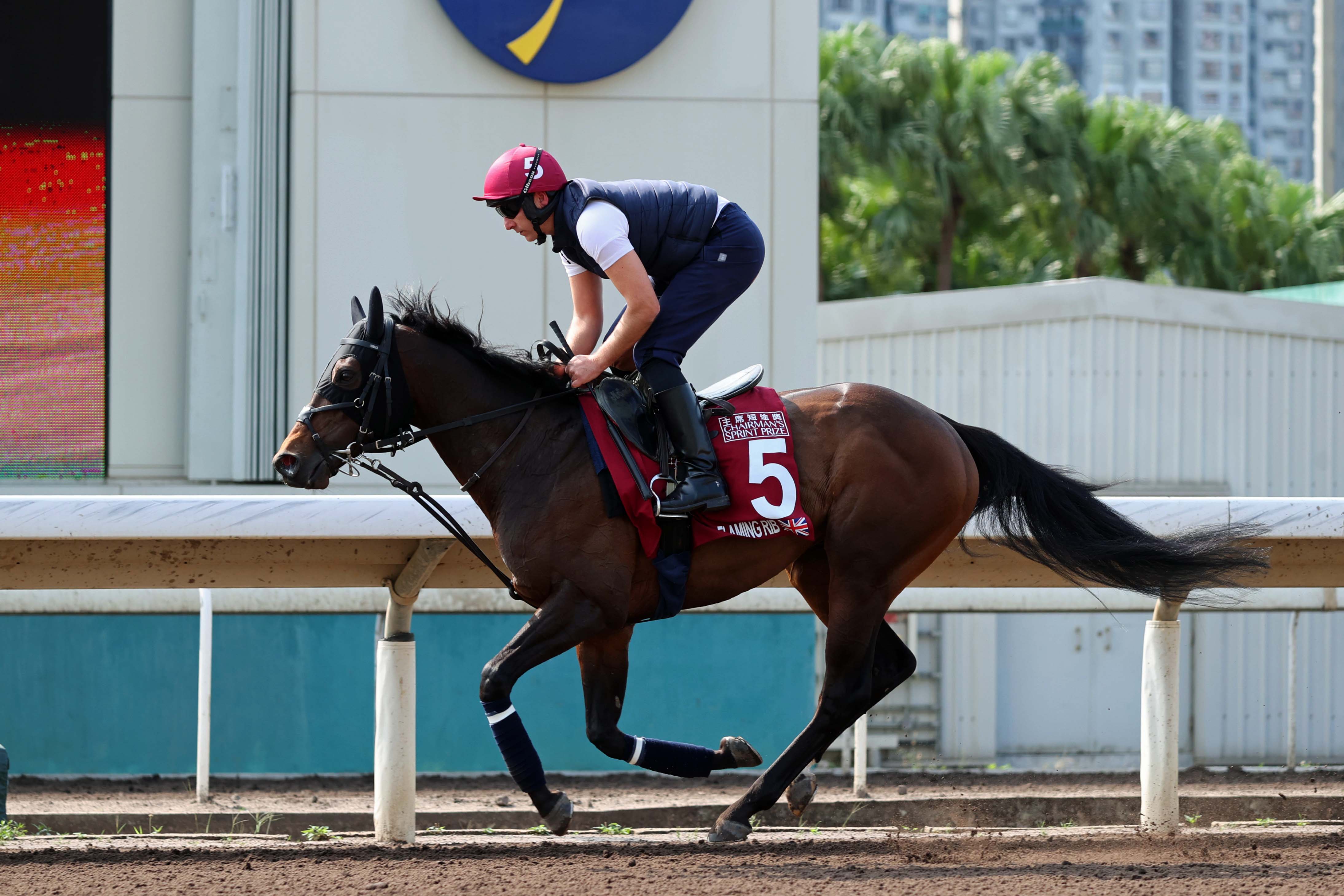20230426 – Trackwork – Chairman’s Sprint Prize - FWD Champions Day 2023 ...
