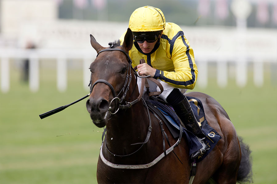 Commonwealth Cup Day - Royal Ascot - The Hong Kong Jockey Club