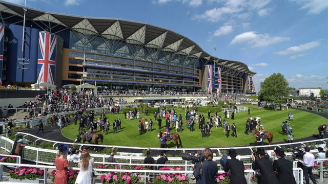 The Hong Kong Jockey Club announces World Pool partnership renewal with ...