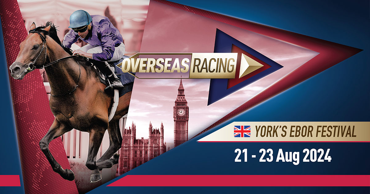 Home - York's Ebor Festival - The Hong Kong Jockey Club