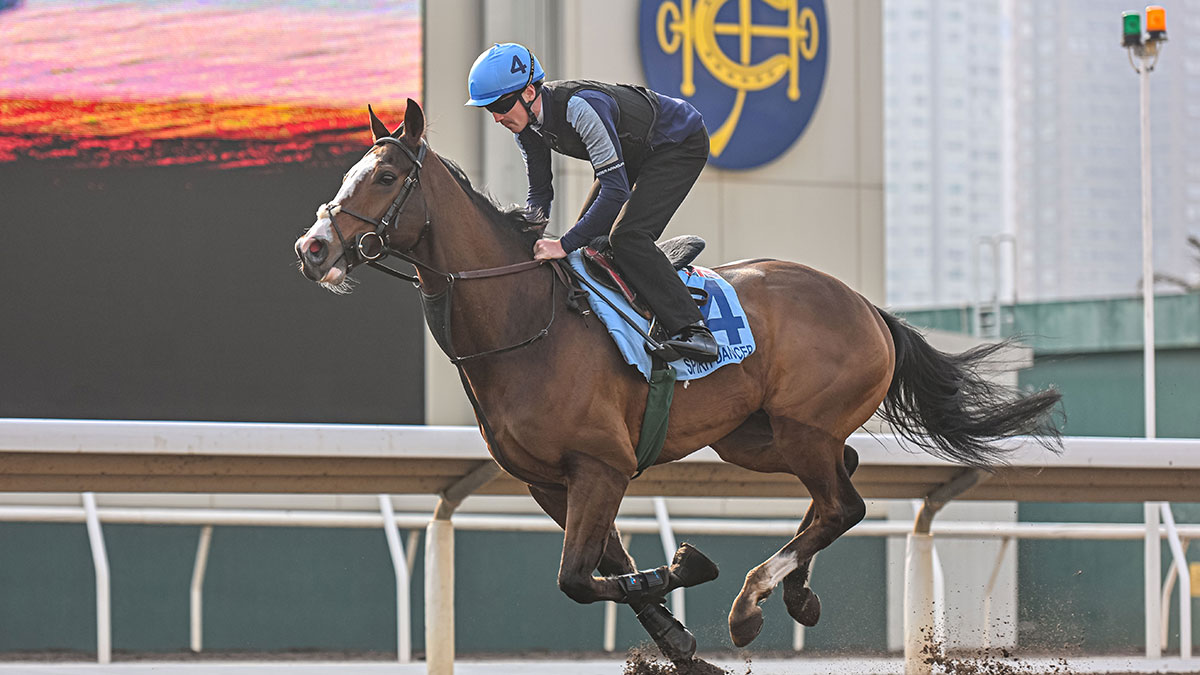 Spirit Dancer in sparkling form as Richard Fahey eyes Romantic Warrior ...