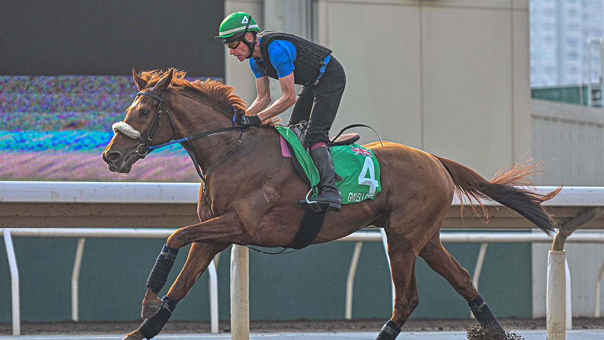 Marco Botti encouraged by Oisin Murphy’s vote of confidence as ...