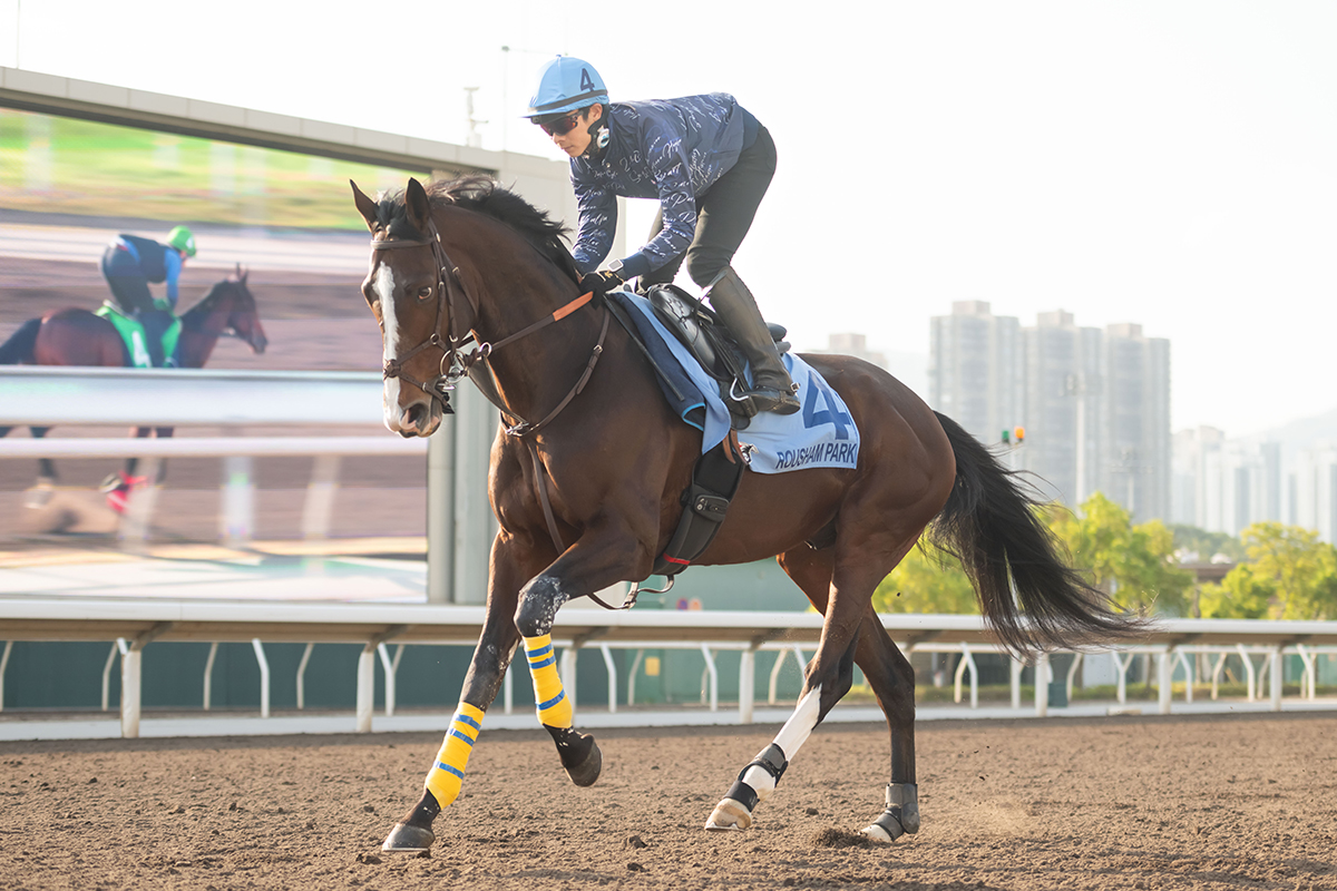 20251212 – Trackwork – LONGINES Hong Kong Cup - LONGINES Hong Kong ...