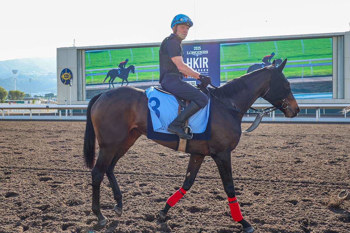 20251208 – Trackwork – LONGINES Hong Kong Cup - LONGINES Hong Kong ...