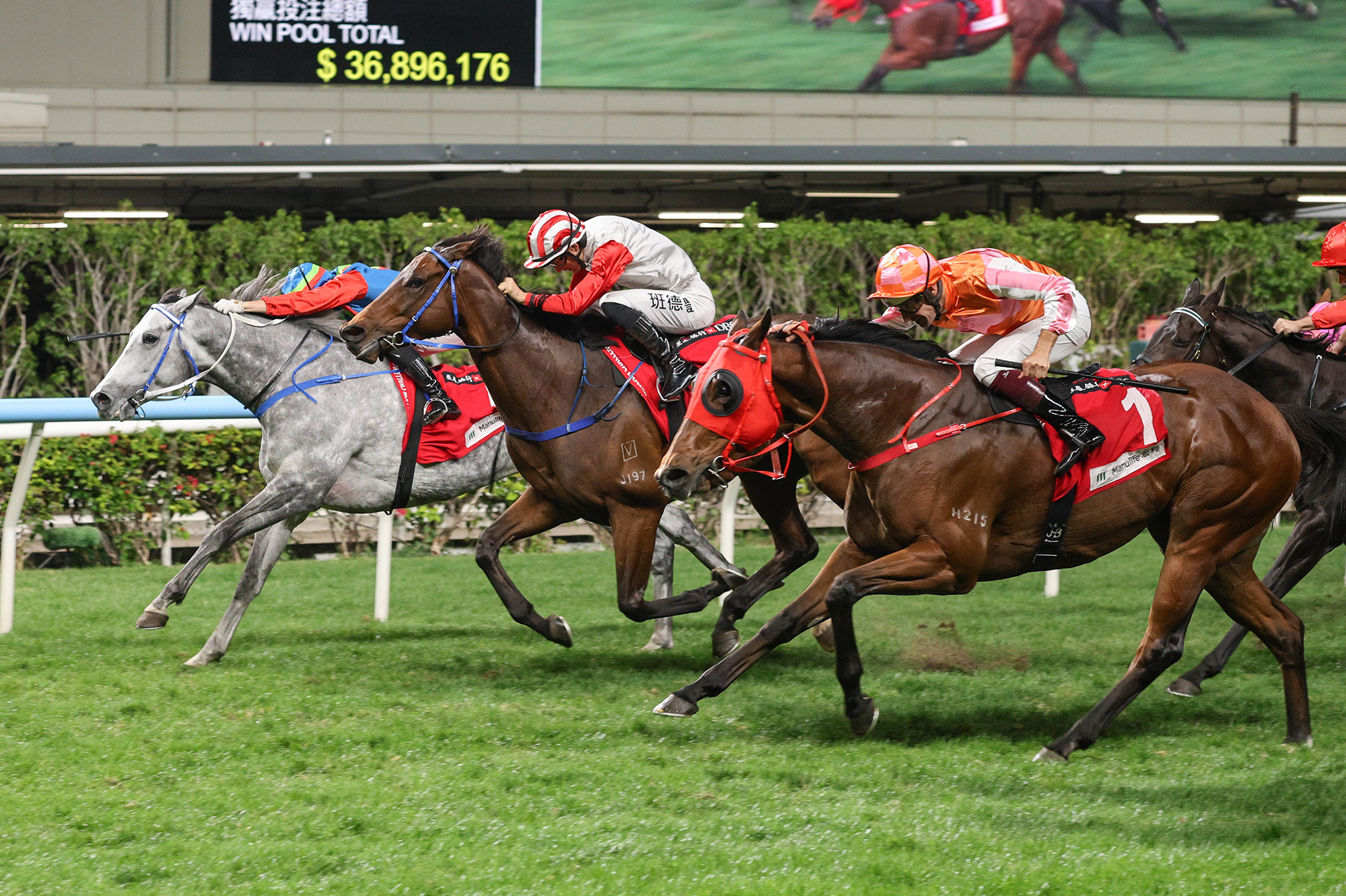 Caspar Fownes takes lead in 2025/26 Hong Kong trainers’ championship ...