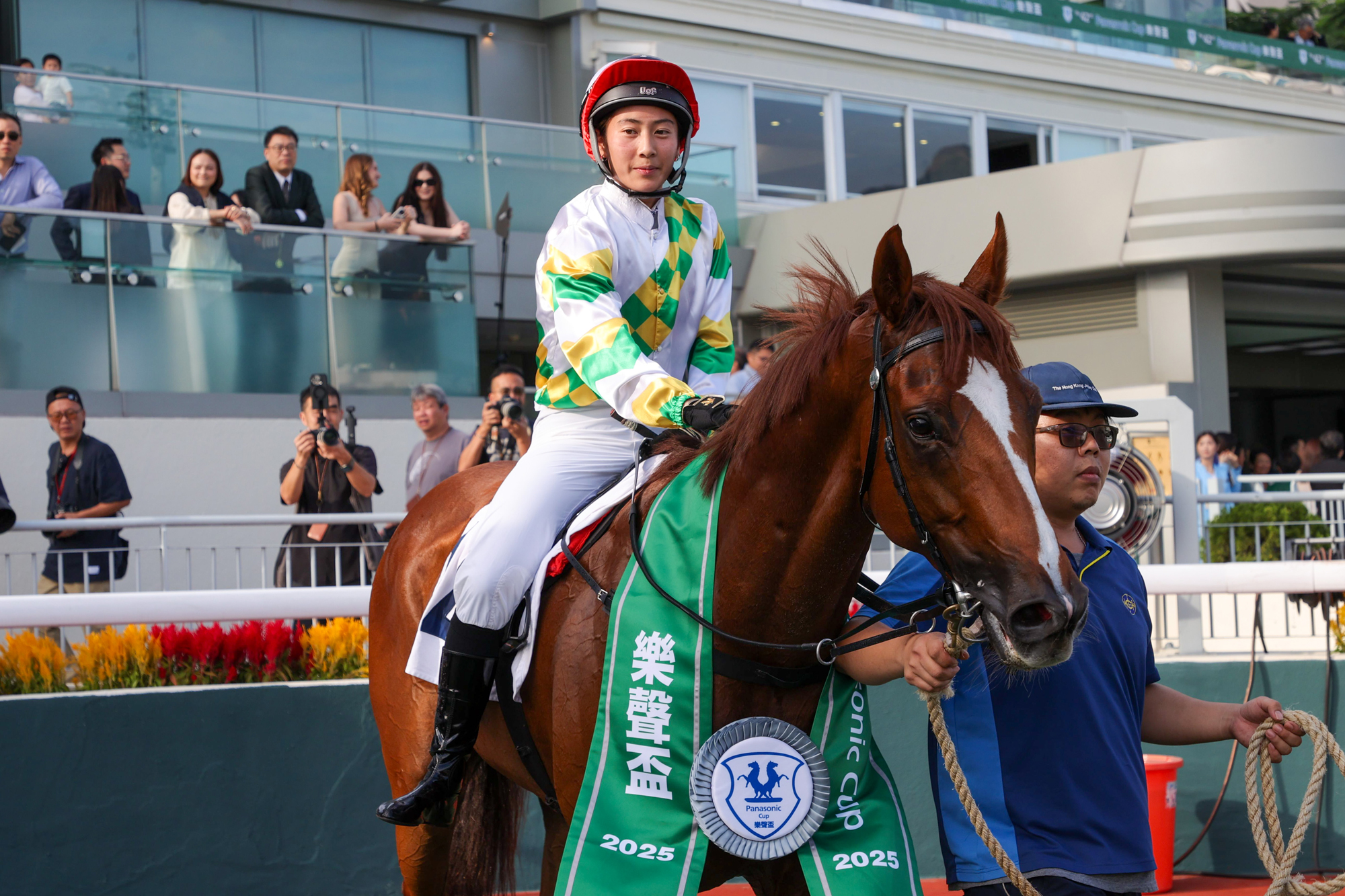 Exciting import Sagacious Life back in action ahead of Four-Year-Old ...